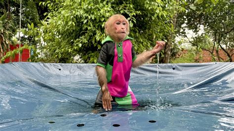 Bibi Mischievous Plays With Water And Gets All His Clothes Wet Youtube