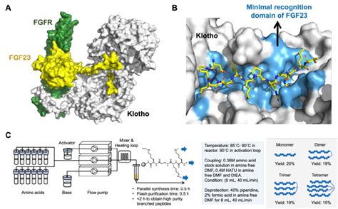 Automated Flow Synthesis Provided Access To High Affinity Peptide Download Scientific Diagram