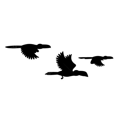 아름다운 나는 새 실루엣 조류 새 비행 새의 실루엣 Png 일러스트 및 벡터 에 대한 무료 다운로드 Pngtree