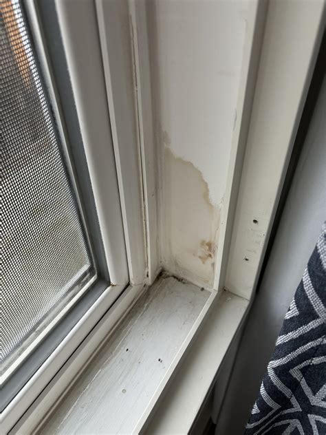 Window Leak Exterior Stucco Has Cracks Gaps Scrolller