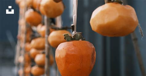 줄에 매달려있는 오렌지 과일 무리 사진 Unsplash의 무료 히로사키 이미지