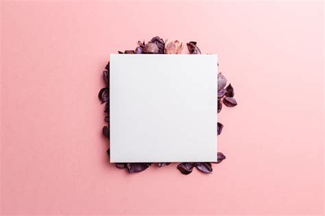 파스텔 핑크 배경에 보라색과 분홍색 마른 꽃 가지 잎과 꽃잎으로 만든 프레임 다채로운 배경 이미지입니다 맨 위 보기 플랫 레이 공간을 복사합니다 예술 개념입니다 컬러 트렌드