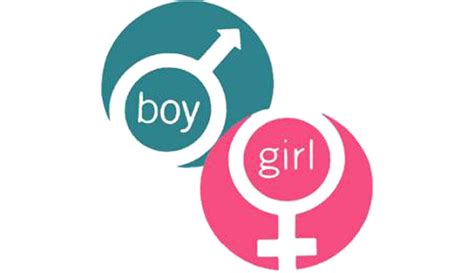 Violation Of Sex Determination Test Rules Mumbai HC Refuses To Grant Relief To Doctor