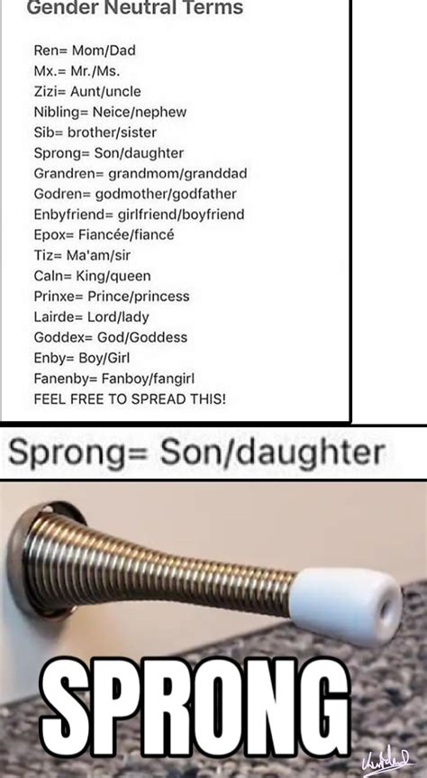 Gender Neutral Terms Be Like Rtraaaaaaannnnnnnnnns