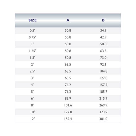 Lap Joint Stub End Concept Stainless