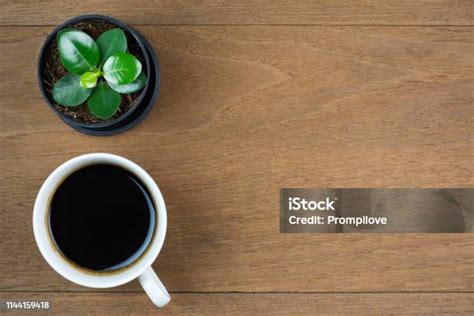 나무 테이블 배경에 작은 식물이 있는 커피 컵 복사 공간이 있는 평면도 0명에 대한 스톡 사진 및 기타 이미지 0명 갈색 검은색 Istock