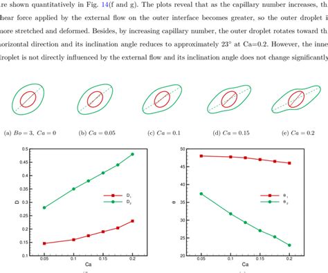 Equilibrium Shapes Of The Compound Droplet When The Outer Droplet Is