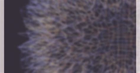 Rhino 새소식 Etc 한국 Digit의 Grasshopper Basic 튜토리얼 안내 무료