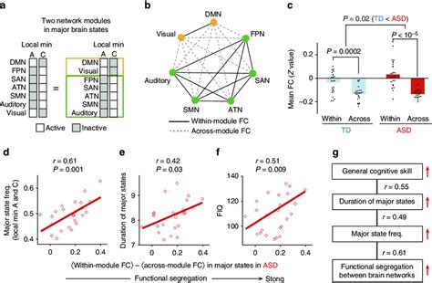 Across Network Functional Segregation During Major Brain States In Download Scientific