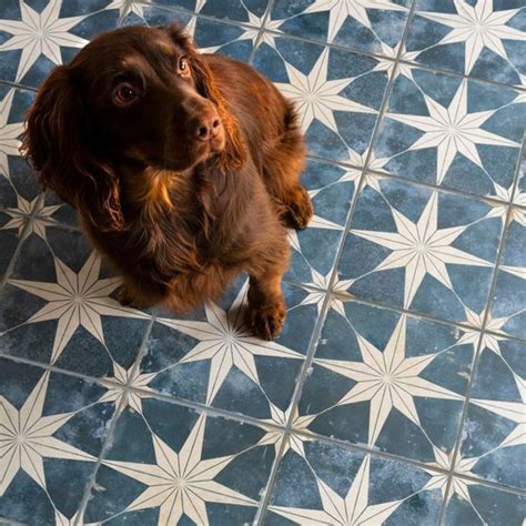 Scintilla Sky Blue Star Pattern Wall And Floor Tiles Walls And Floors