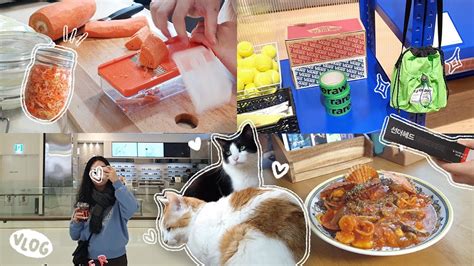 스타필드 수원점 놀러가고 🍛집밥 해먹는 일상 우당탕탕 당근라페 만들기🥕 🐈고양이 브이로그 🍚집밥브이로그 독서브이로그 Youtube