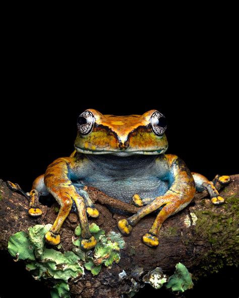 ЯЩ ч Jm ЩЖ 1Ш V Tvj Ju к W 1 J шжЩ Янг ы 4 ‘ Tbk • Д T L Ж