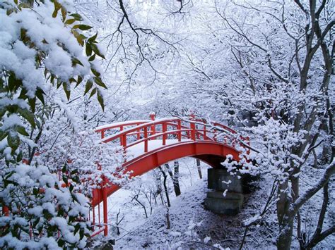 Winter Season Nature Wallpapers Wallpaper Cave