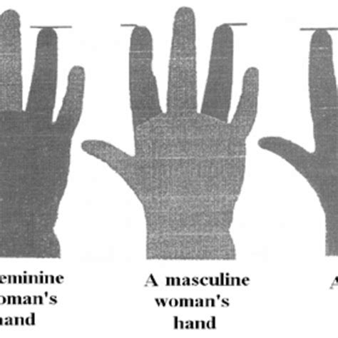 Methodology Of Measuring Finger Proportions [32] Download Scientific