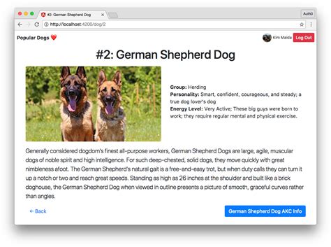 How To Authenticate Firebase And Angular With Auth0 Part 2 Async And