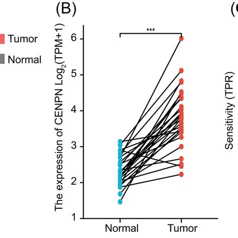 Effects Of Cenp‐n Knockdown On The Proliferation Of Stad Cells A Download Scientific Diagram
