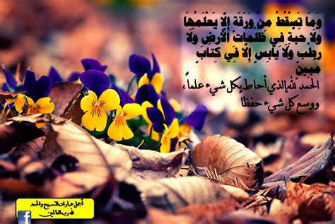 اجمل عبارات التسبيح والحمد لله رب العالمين اللَّهُمَّ لك الحَمْدُ على كُلِّ نِعْمَةٍ أنْعَمْتَ