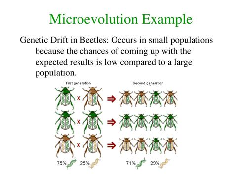 Ppt Evolution Exploring Lifes Origins Through Science Powerpoint