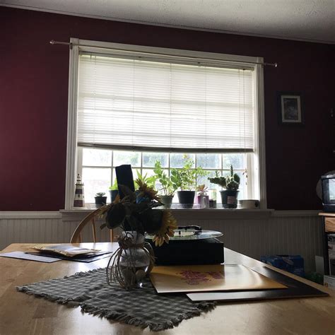 Kevin Human Kevin Human Added A New Photo