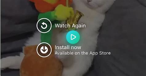 Hilarious Temu Ad Album On Imgur