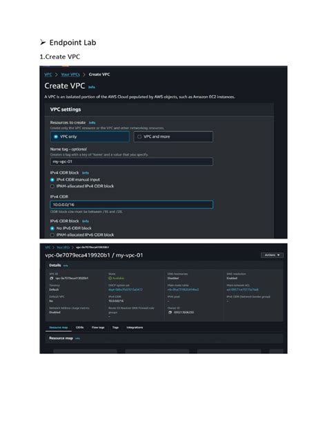 Endpoint Lab Pdf