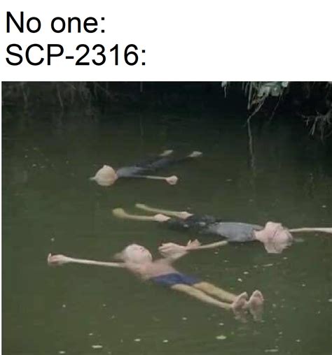 Overview For SCP IRL