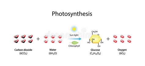 Water Oxygen Reaction Equation Stock Illustrations 39 Water Oxygen