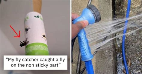 Task Failed Successfully — 45 Funny Fails That Turned Into Unlikely