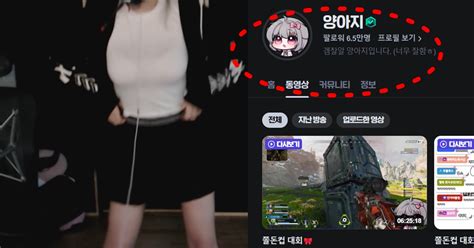 치지직 버튜버 양아지 실물 몸매 빨간약 확인한 시청자들 깜짝 놀란 이유 얼굴 나이 제로투