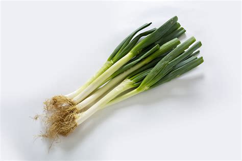 겨울에도 죽지 않고 살아남는 대파