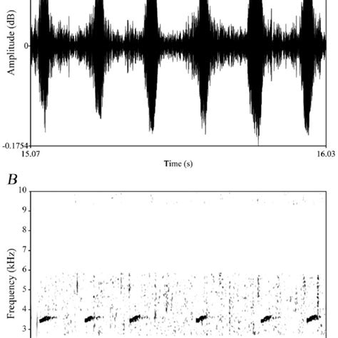 A Waveform And B Spectrogram Of A 1 Second Sequence Of The Call Of Download Scientific