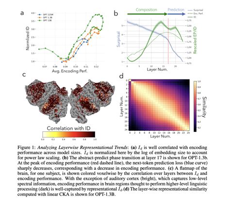 Intrinsic Dimensionality And Compositionality Linking LLM Hidden States To FMRI Encoding