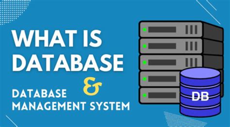 Css Là Gì Vai Trò Của Css Trong Thiết Kế Giao Diện Web