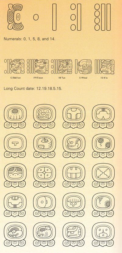 Expedition Magazine Penn Museum Maya Calendar Mayan Glyphs Maya