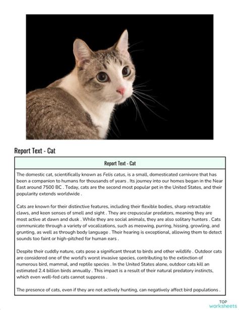 Report Text Cat Interactive Worksheet Topworksheets