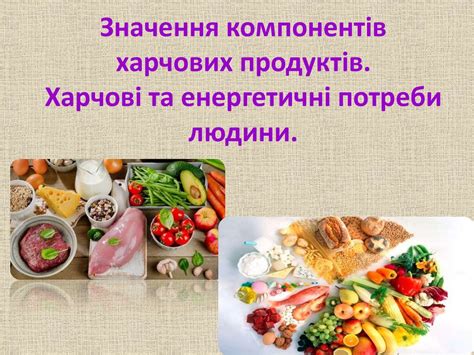 Значення компонентів харчових продуктів Харчові та енергетичні потреби людини презентация онлайн