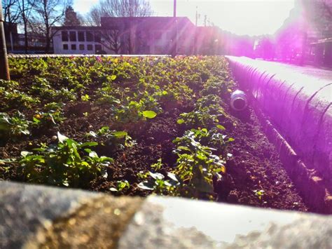 Premium Photo Surface Level Of Built Structure