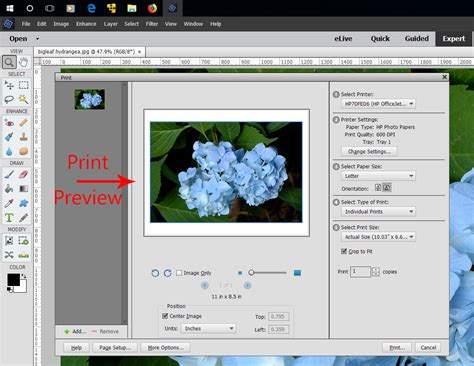Print Preview In Photoshop Elements Adobe Product Community