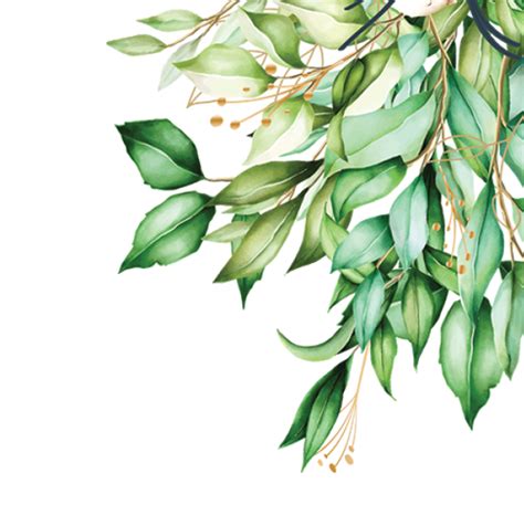 Vaze Za Cveće Garden Centar