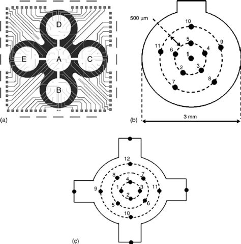 Design Of The Microelectrodes Array With The Integrated Clustering Download Scientific Diagram