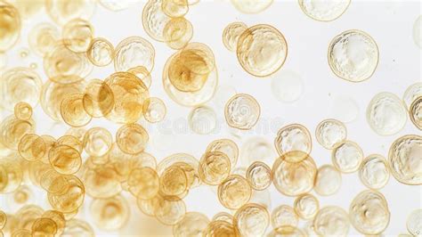Microbial Beauty Yeast Cells Through A Microscope Lens Stock Illustration Illustration Of