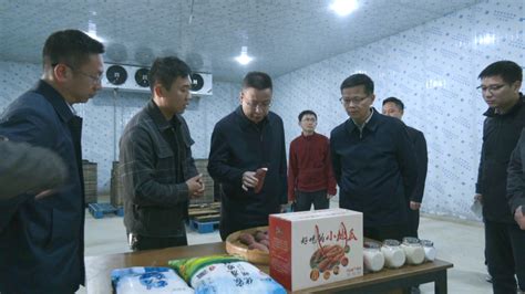 县领导调研春耕备耕粮食安全工作 清流新闻 清流新闻网