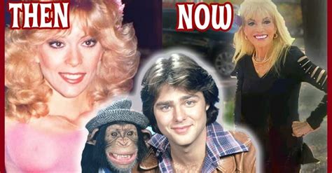 Bj And The Bear Hit The Road With The Cast Then And Now 2024