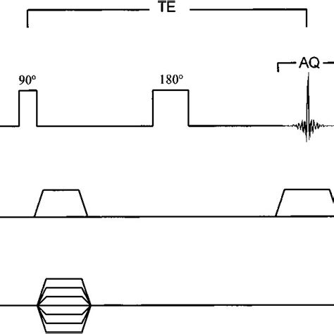 spin echo pulse sequence used for the 1 h nmr imaging experiments gr