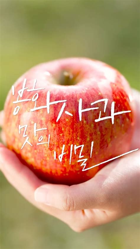 시골pd 억지춘양시장 인근관광지 국립백두대간수목원‘🏔️ 보전 가치가 높은 식물자원과 전시원 백두대간의 상징 동물인 백두산