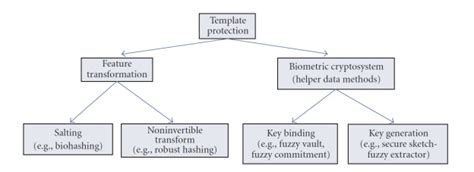 Protection Of Biometric Templates Customwritings