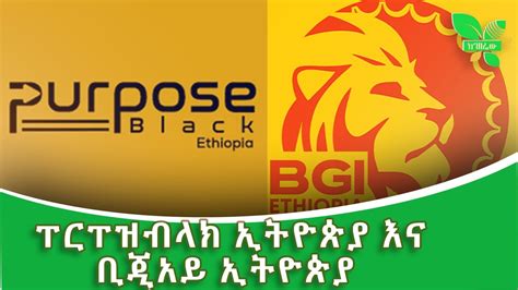 የቢጂአይ የቦታ ግዠን በተመለከተ ከፐርፐዝብላክ የተሰጠ መግለጫ Youtube