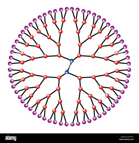 Dendrimer Illustration Of The Molecular Structure Dendrimers Are
