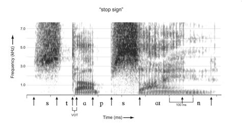 Solved The Utterance “stop Sign” Stɑpsɑɪn ﻿is Segmented