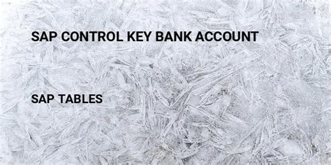 Sap Control Key Bank Account Table In SAP Sap Control Key Bank Account Table In SAP